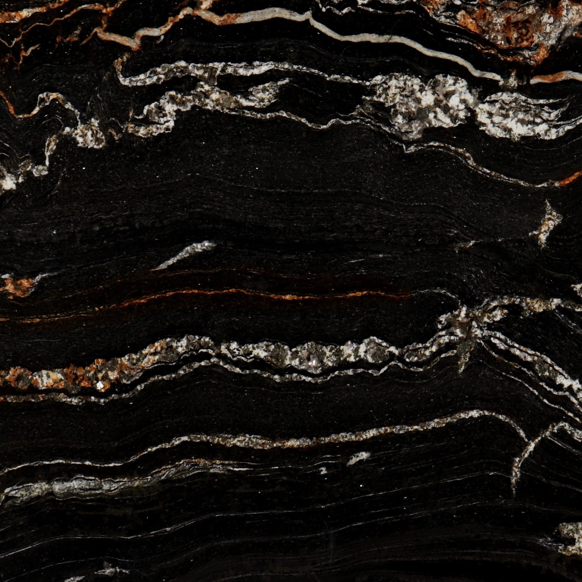 Black Taurus Leathered - Midwest Rock Tops